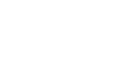 Solid Security Services